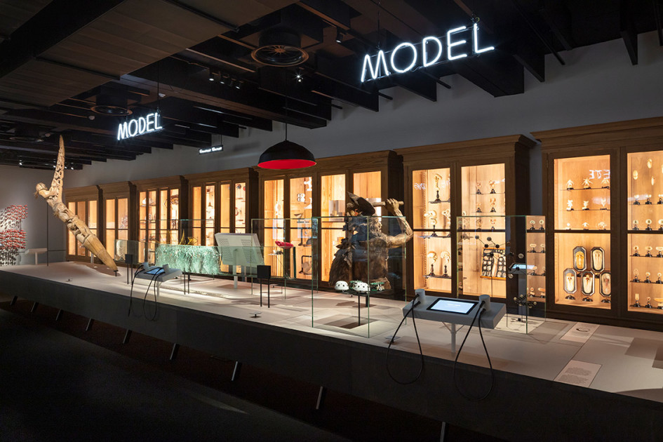 Model | GUM - Gents Universiteitsmuseum